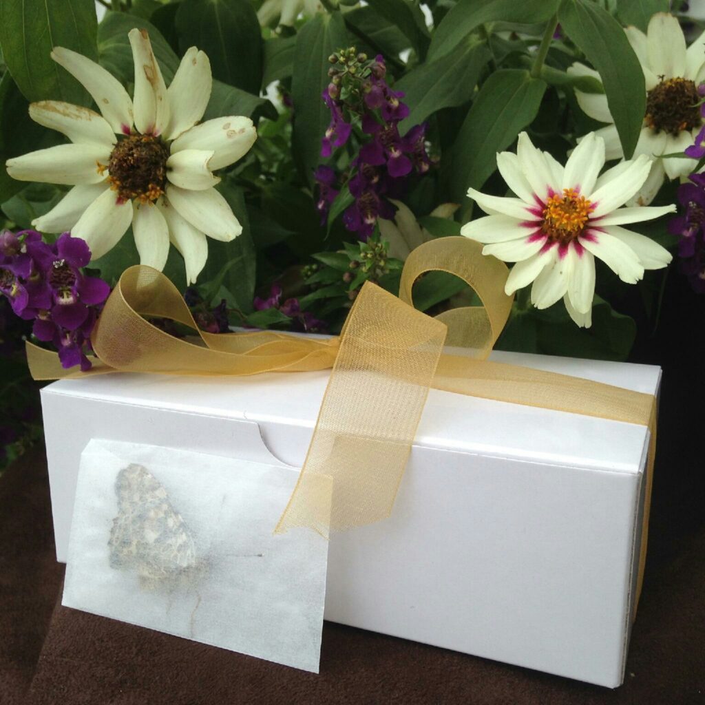 Memorial / Funeral Butterfly Release - Reserve Today