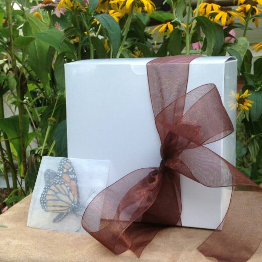 Butterfly Release Packages - Reserve Today