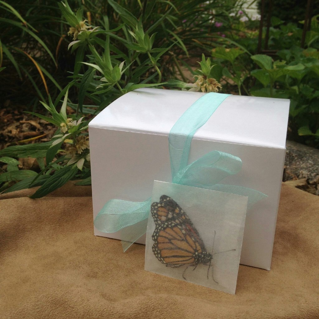 Monarch Butterfly Release - Reserve Today